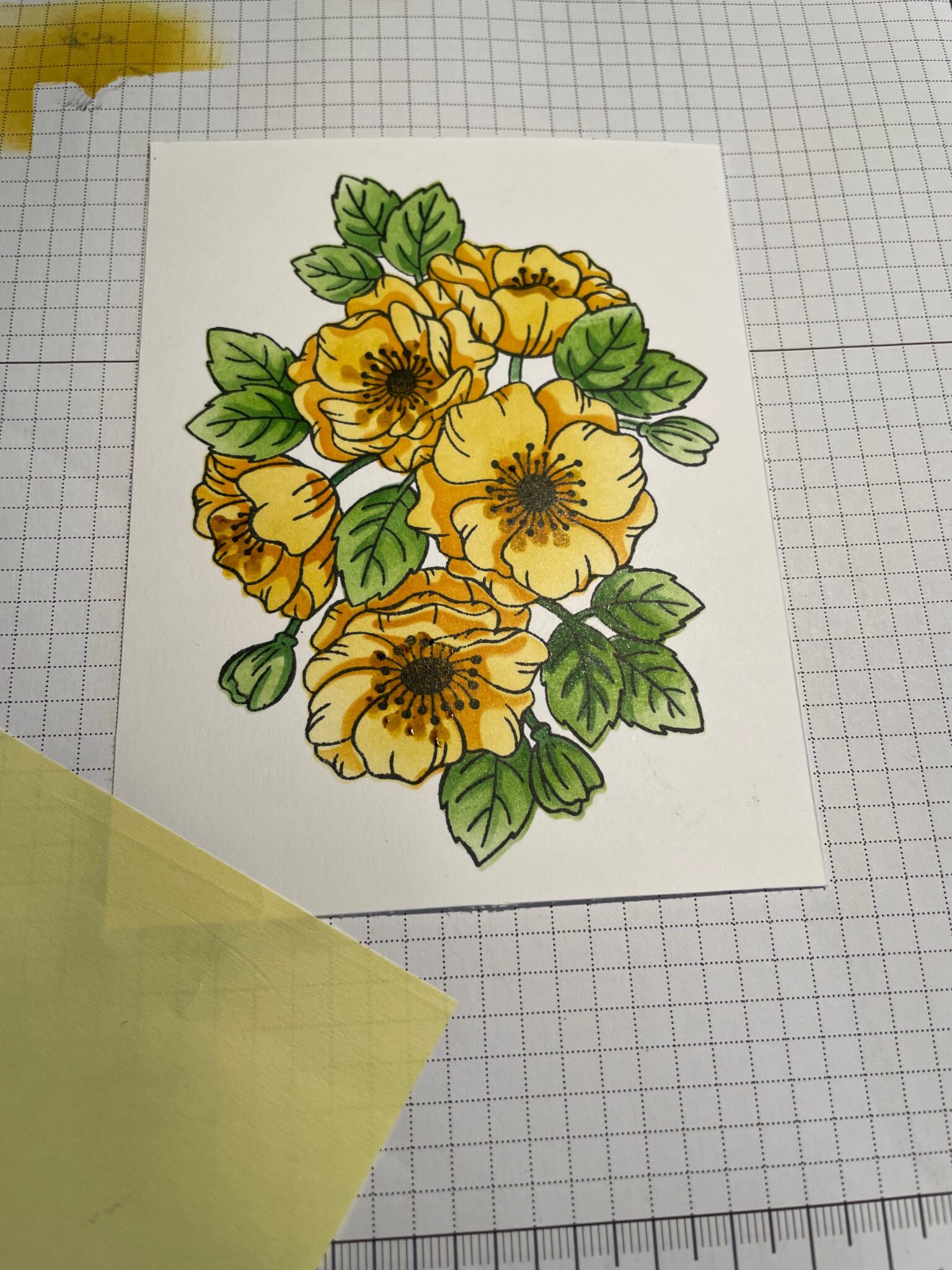 Have you checked out the Enduring Beauty Bundle yet?